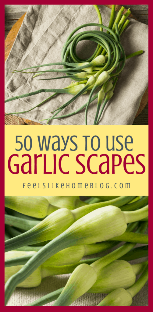 What is a Garlic Scape (and 50 Ways to Use Them) - Feels Like Home™