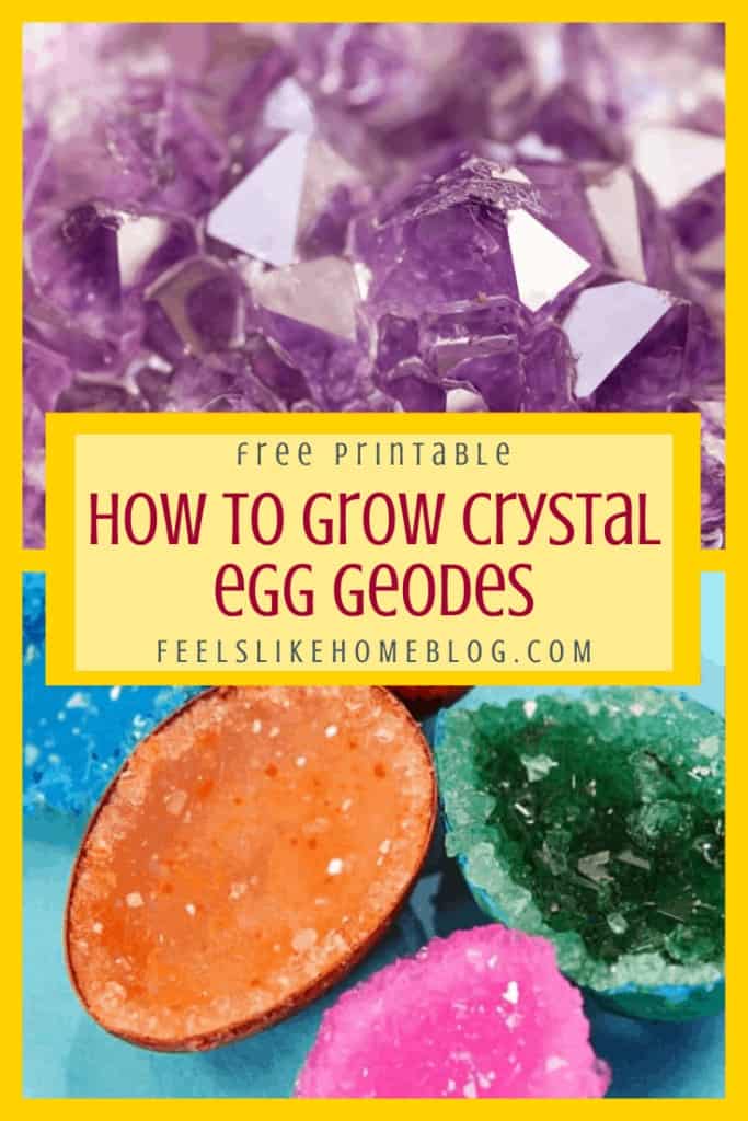 How to Grow Your Own Crystal Geodes - Cool Science Experiment for Kids
