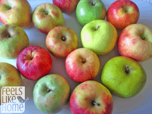 Apple Taste Test Activity: An Elementary Math & Science Lesson - Feels ...