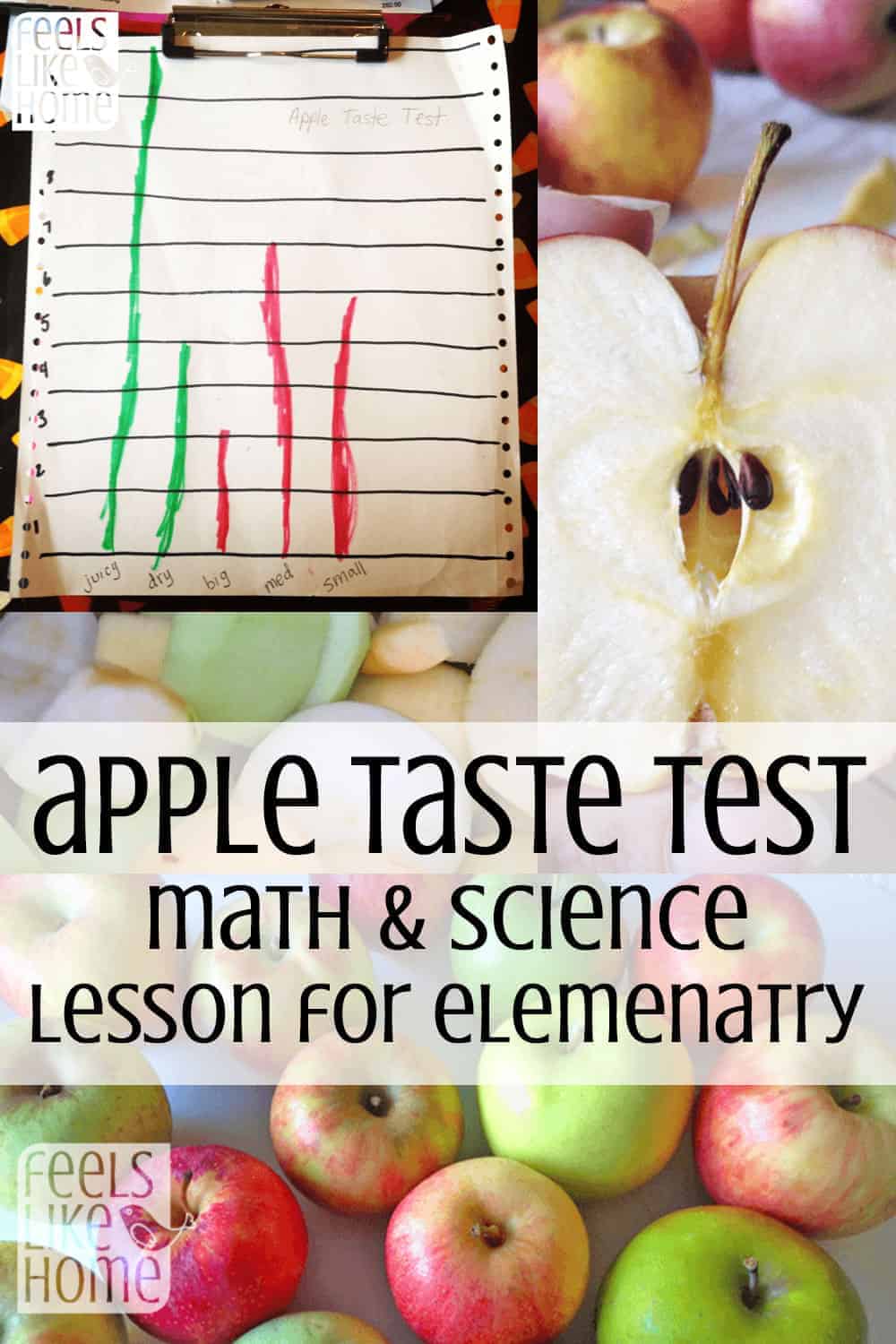 Apple Taste Test Activity: An Elementary Math & Science Lesson - Feels ...