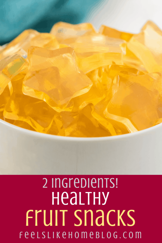 Healthy Homemade Fruit Snacks Recipe - Feels Like Home™