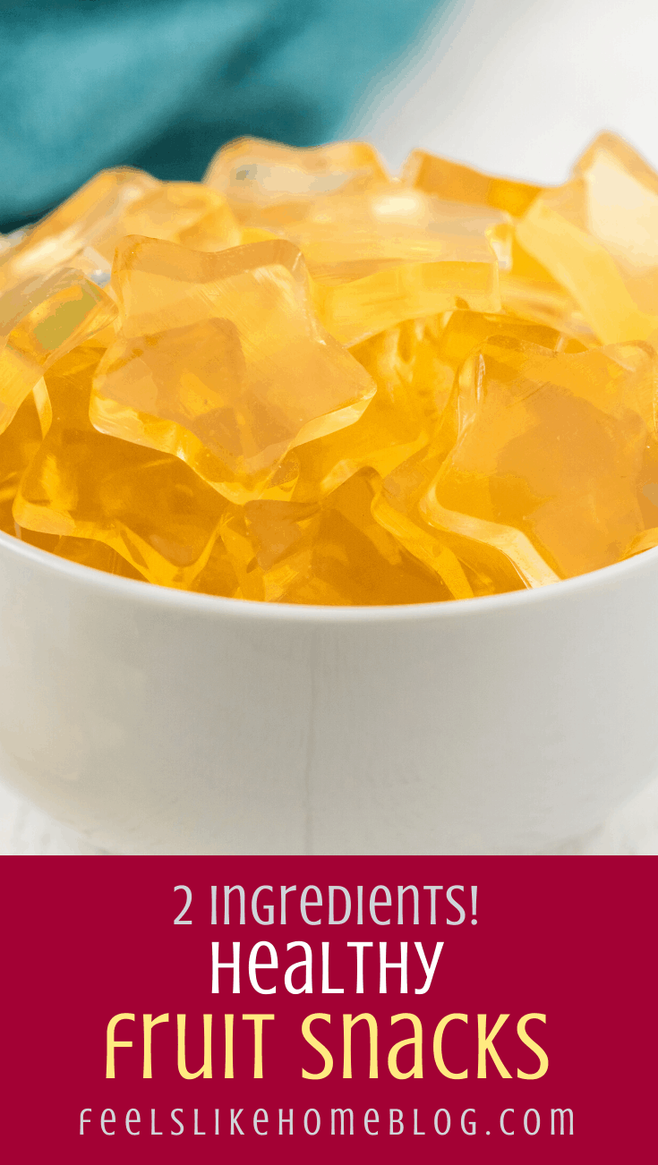 Healthy Homemade Fruit Snacks Recipe - Feels Like Home™