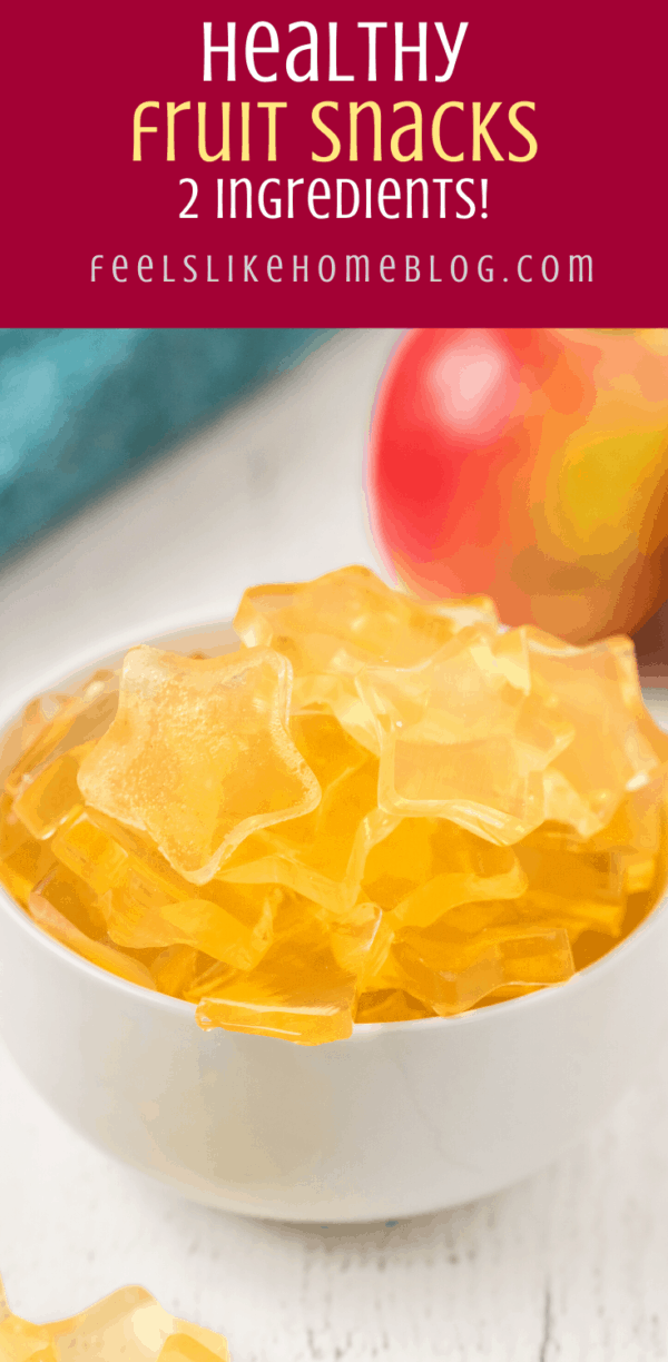 Healthy Homemade Fruit Snacks Recipe - Feels Like Home™