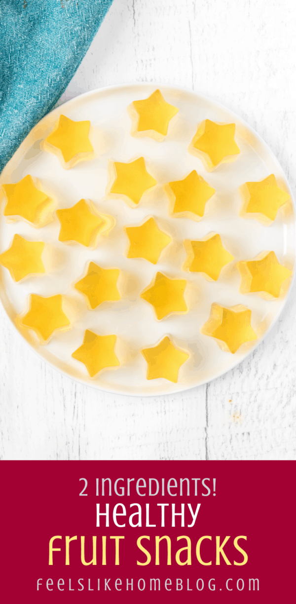 Healthy Homemade Fruit Snacks Recipe - Feels Like Home™