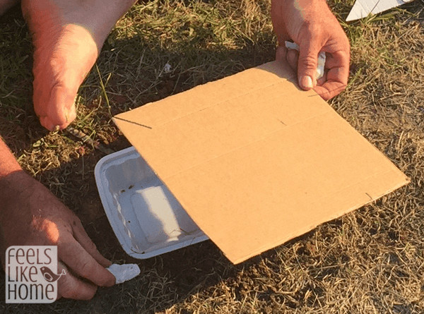 How to Make a Pitfall Bug Trap - Easy Kids Science Project - Feels Like ...