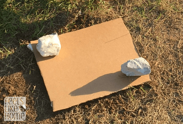 How to Make a Pitfall Bug Trap - Easy Kids Science Project - Feels Like ...