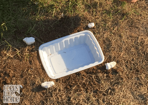 How to Make a Pitfall Bug Trap - Easy Kids Science Project - Feels Like ...
