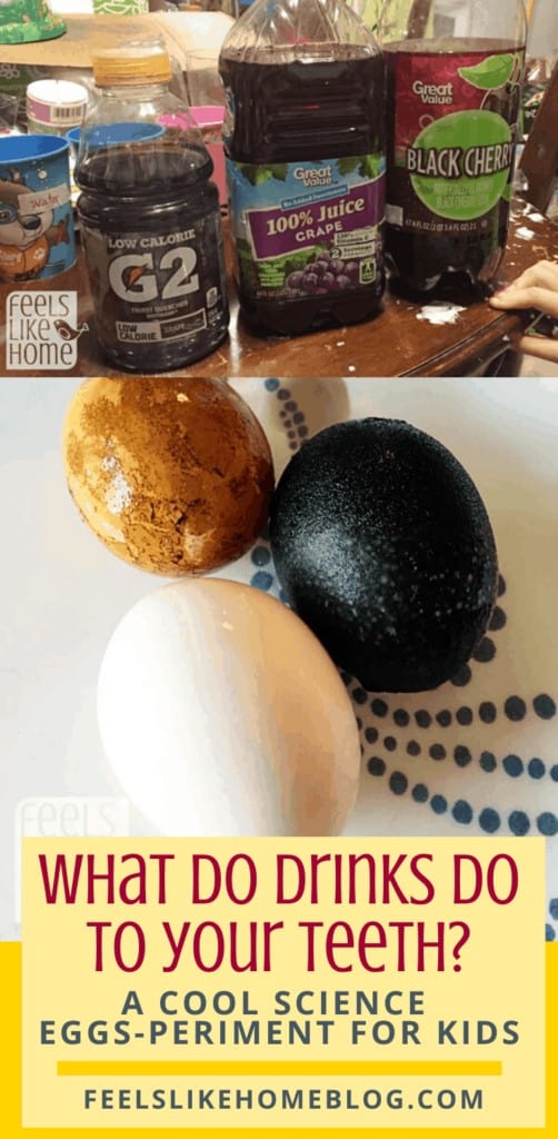 What Do Sugary Drinks Do to Your Teeth? - Kids Science Experiment