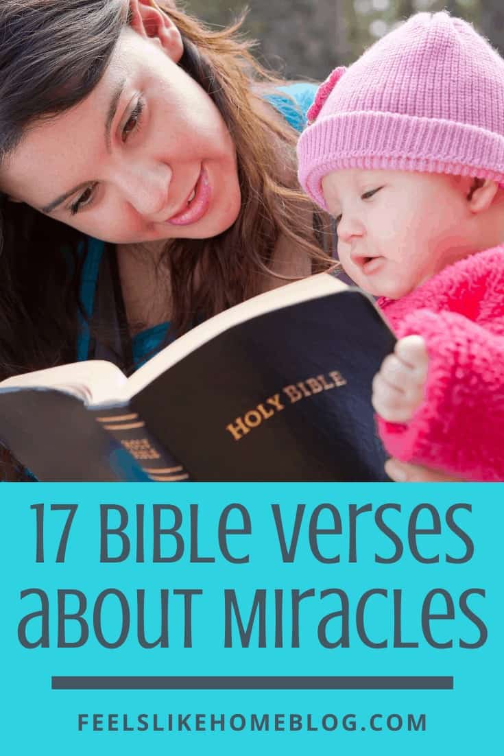 17 Bible Verses about Miracles & 16 Real Miracles from the Bible ...