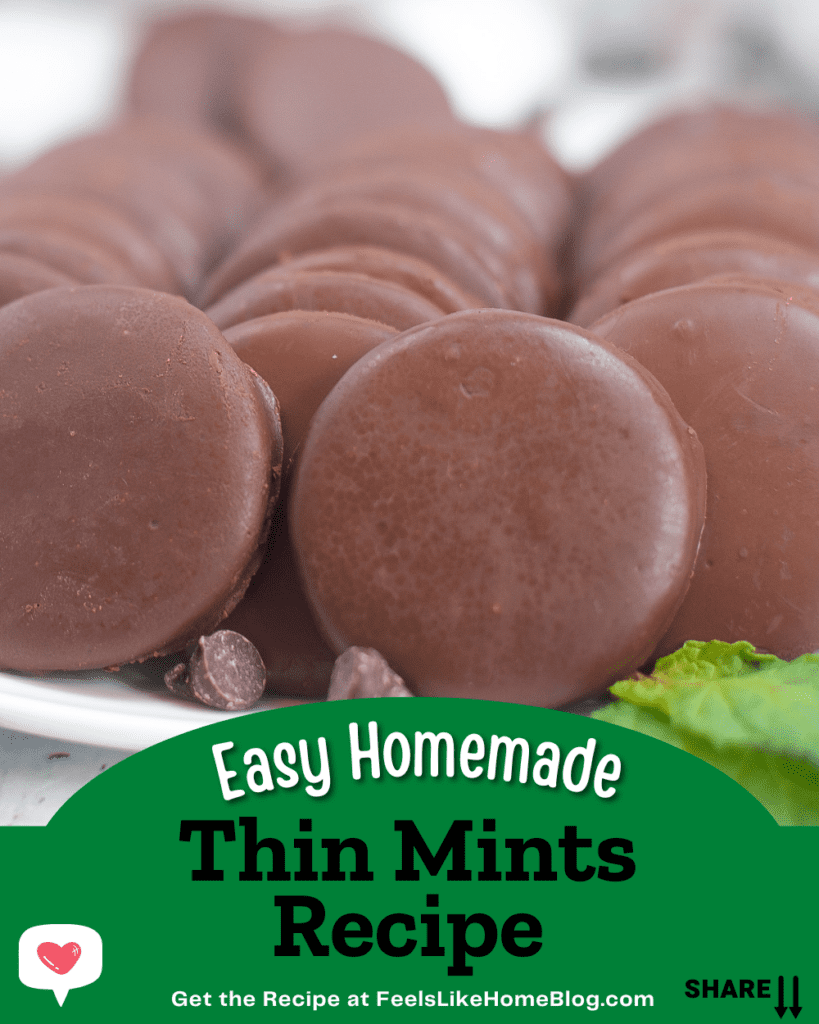 Homemade Thin Mints Girl Scouts Cookies Recipe - Feels Like Home™
