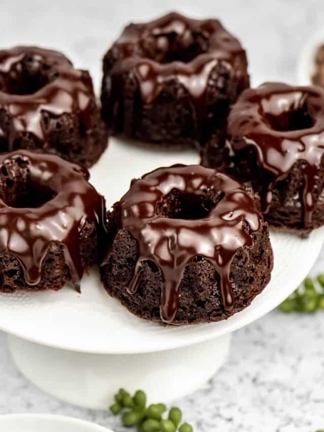 THE BEST MINI CHOCOLATE BUNDT CAKES STORY - Feels Like Home™